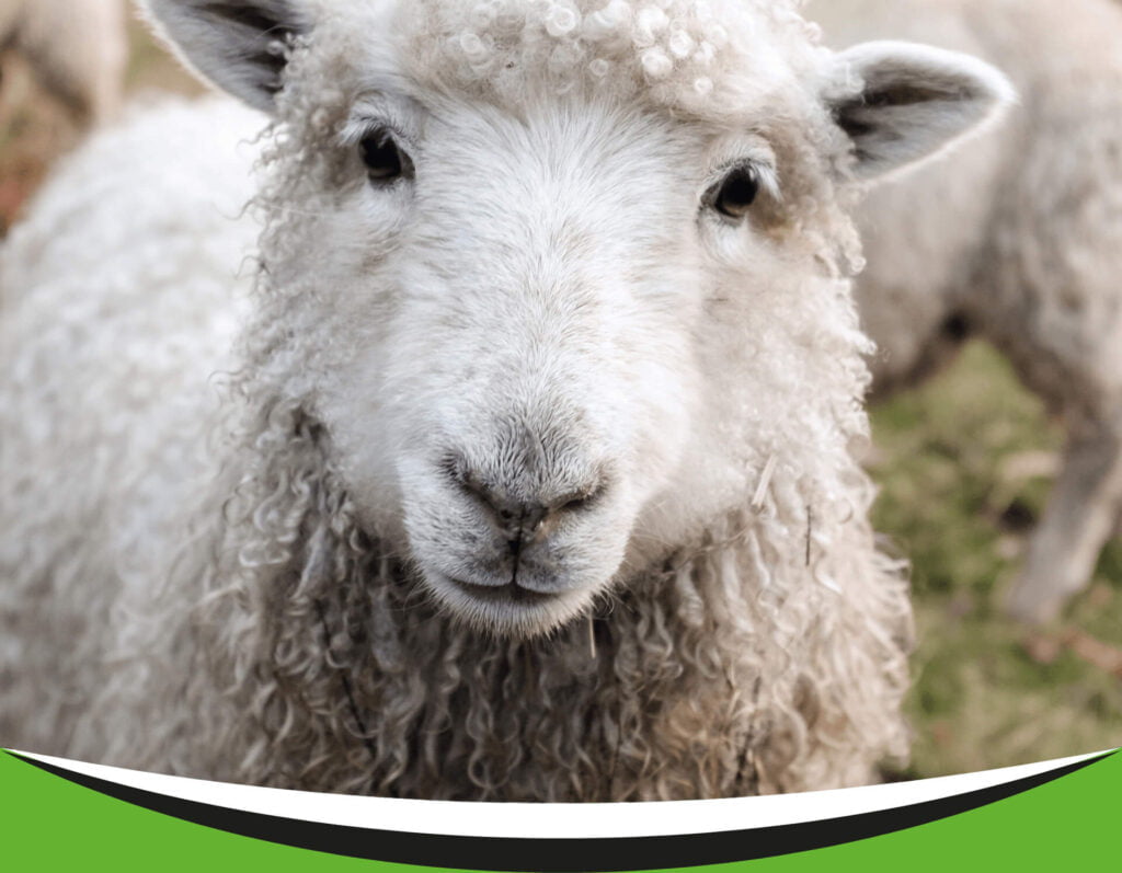 Home - The Green Tractor Scheme